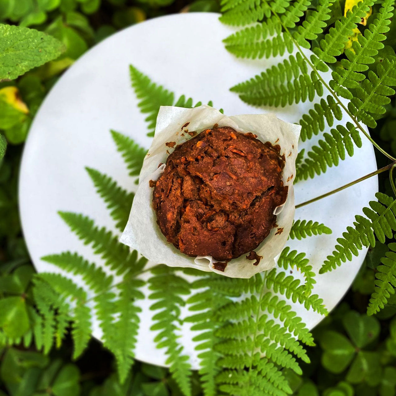 Breakfast – Forest & Flour