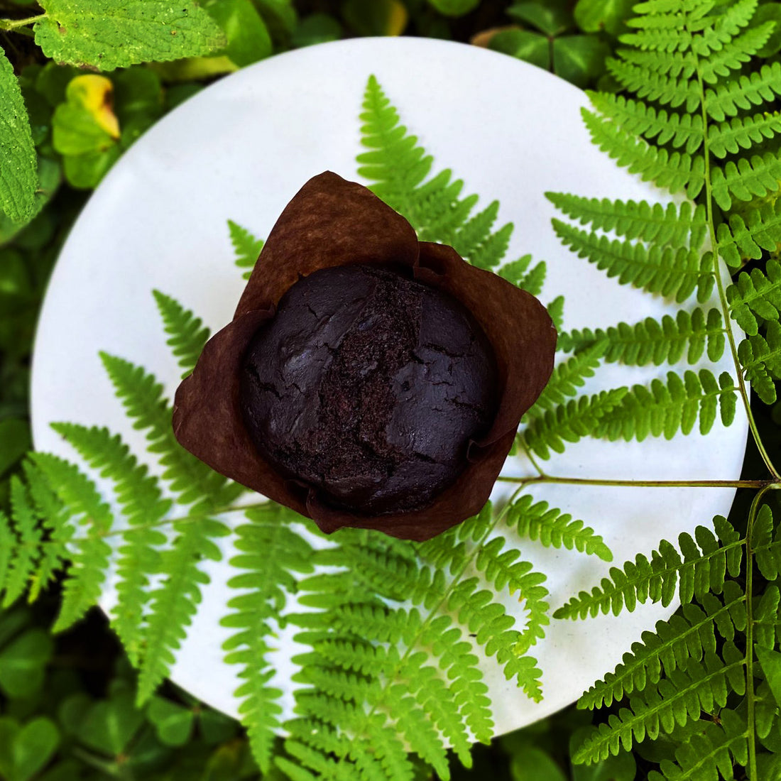 Devil Chocolate Cupcake – Forest & Flour